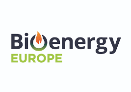 Disruptive bioenergy technologies: delivering decarbonisation of ...
